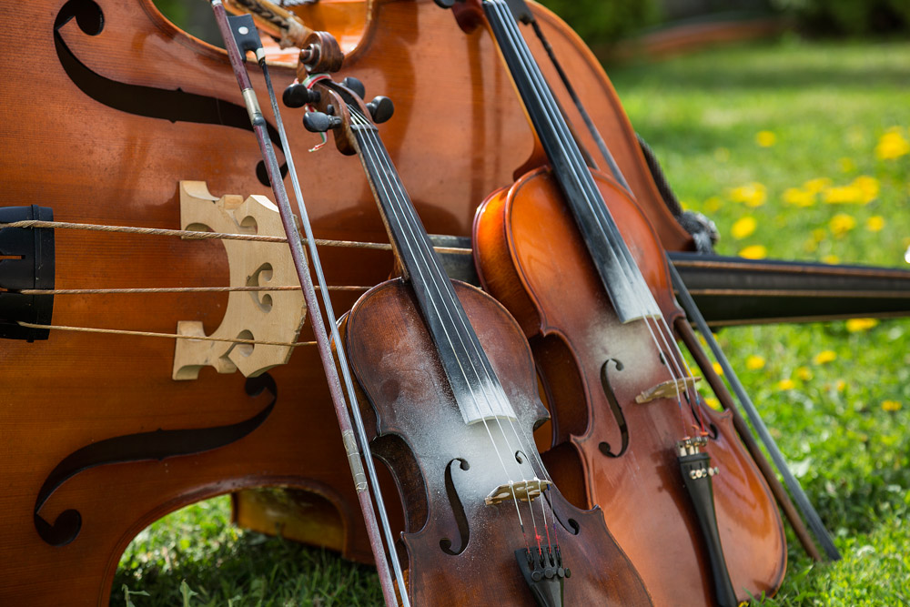 6 Tips for Building a Career as a Violist | Film Music Central